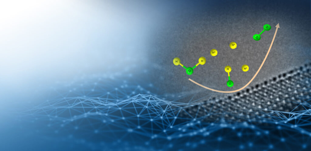 CRC Network CataLysis